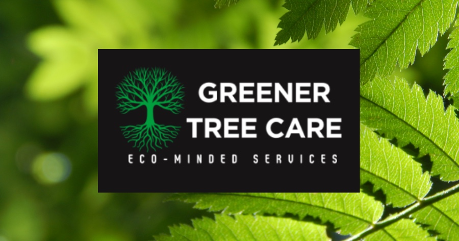 Expert Arborists, Sustainable Tree Care
